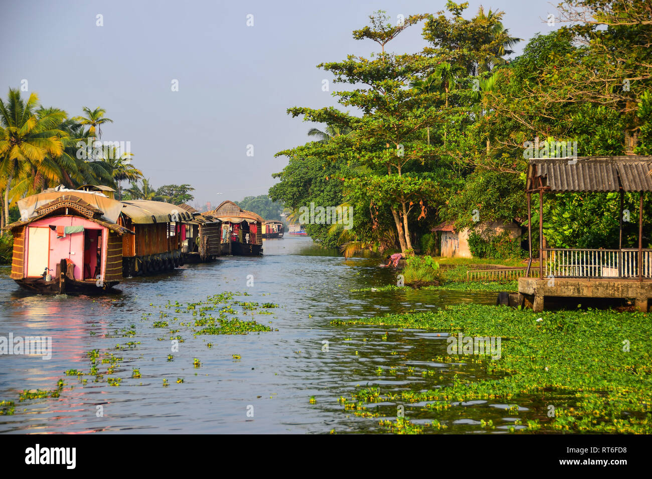 Kerala Backwater, Kerala, India Stock Photo - Alamy
