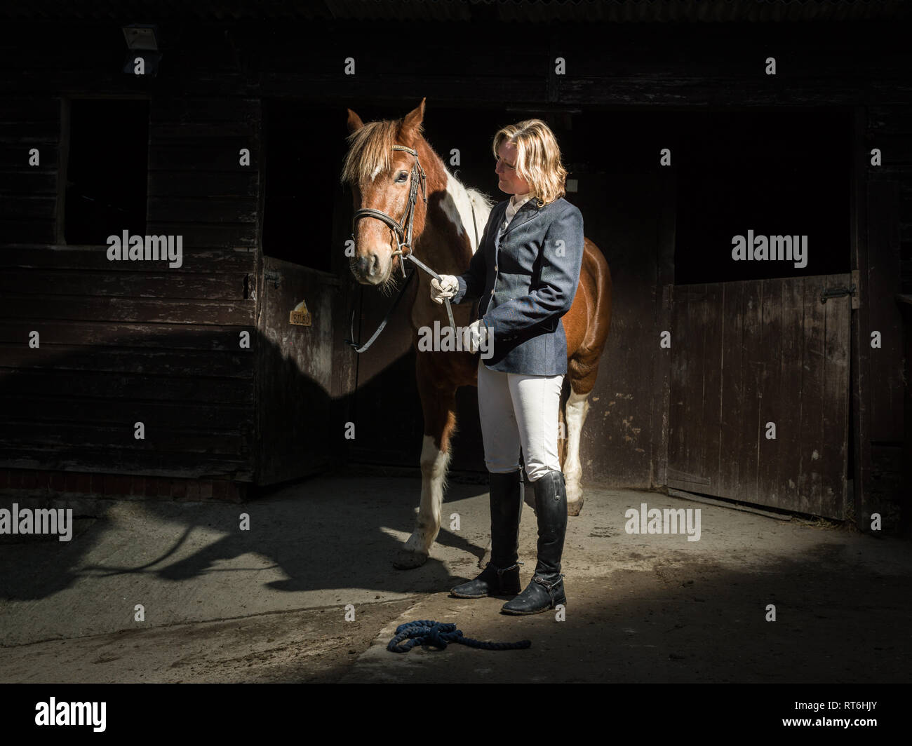 Horse & Rider Stock Photo - Alamy