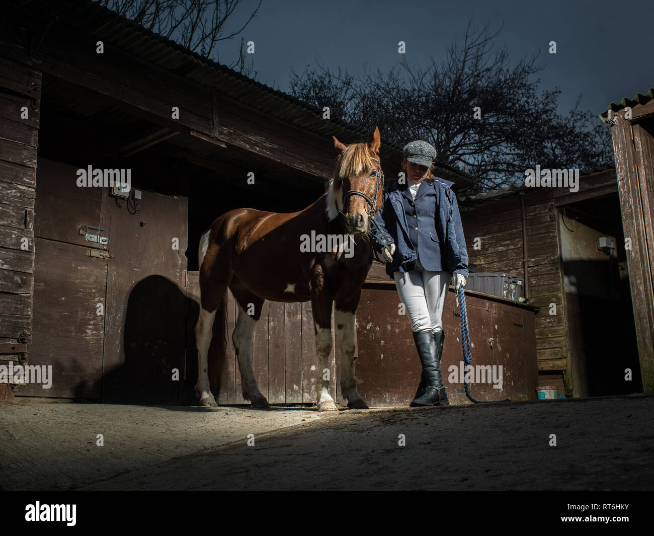 Horse & Rider Stock Photo - Alamy