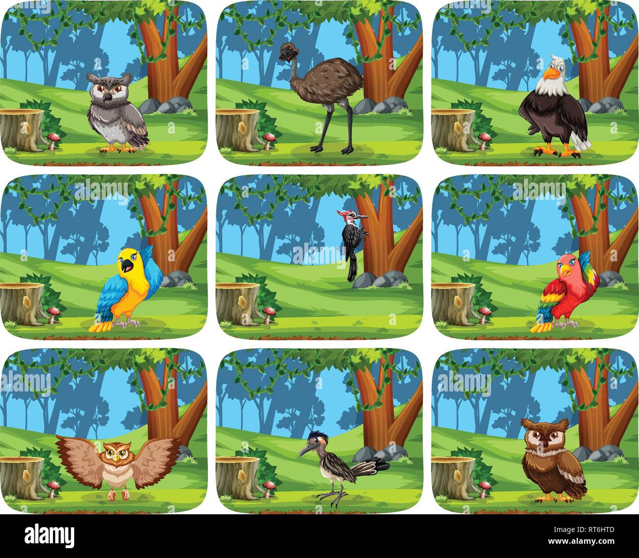 Set of birds in wood scenes illustration Stock Vector Image & Art - Alamy
