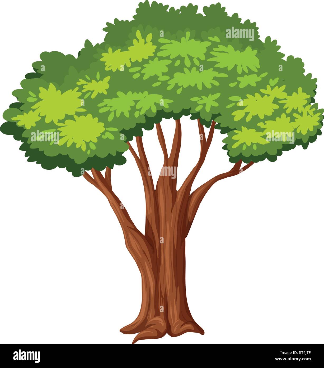 Isolated tree white background illustration Stock Vector Image & Art ...