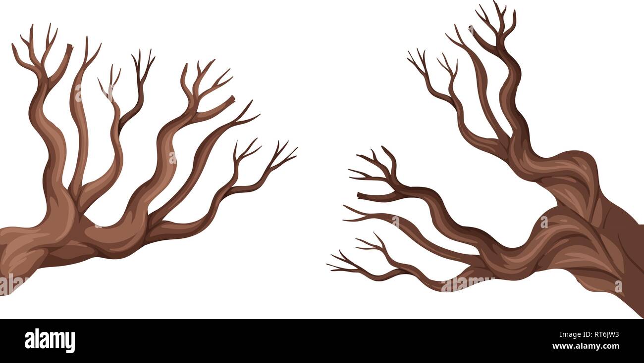 Set of tree branch illustration Stock Vector Image & Art - Alamy