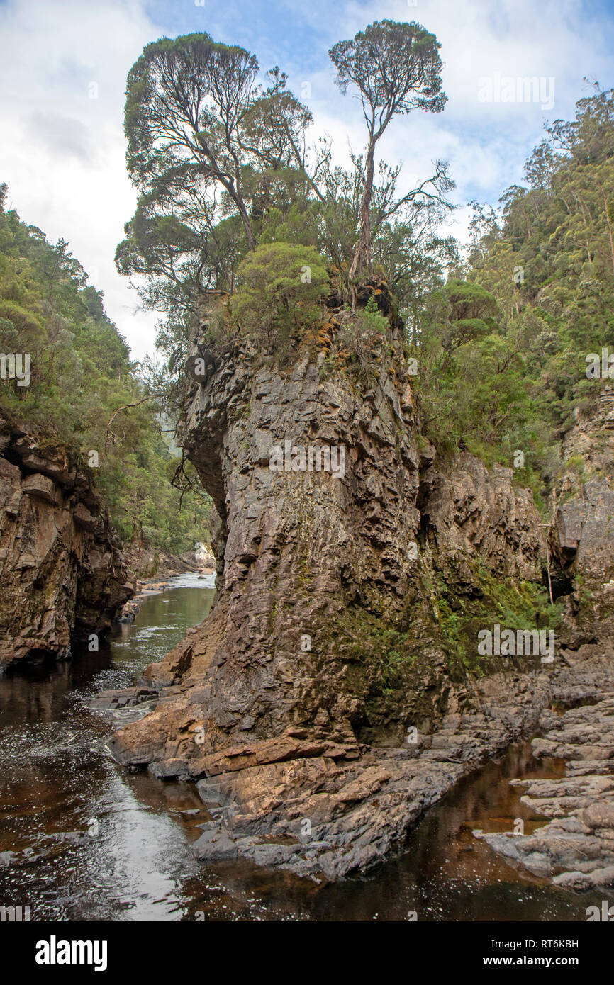 Rock Island Bend on the Franklin River Stock Photo - Alamy