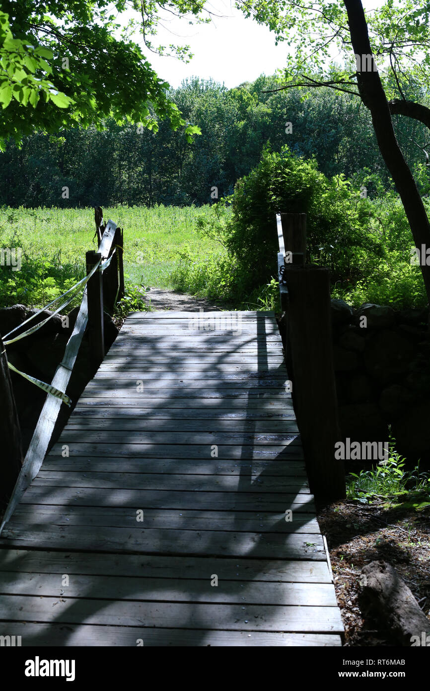 Forest field new bridge hi-res stock photography and images - Alamy