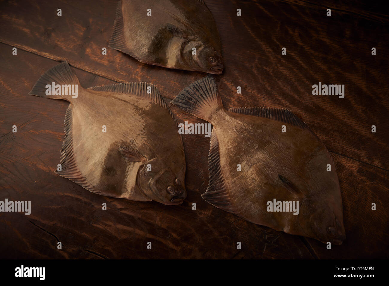 Flatfish High Resolution Stock Photography and Images - Alamy