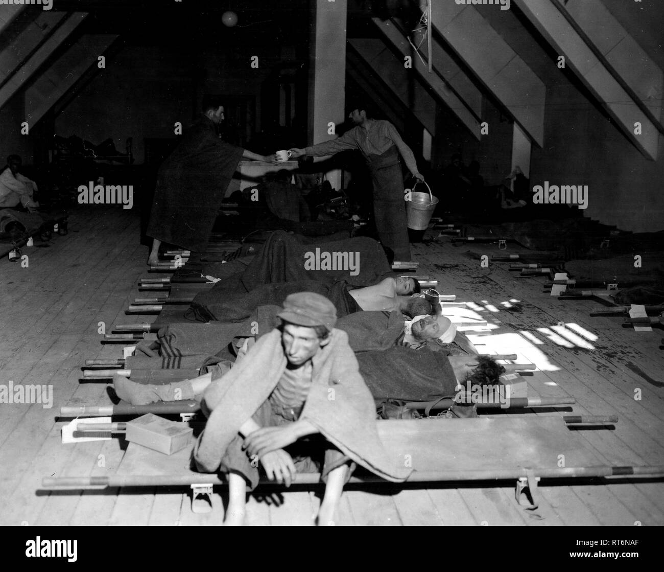 World war one medical care hi-res stock photography and images - Alamy