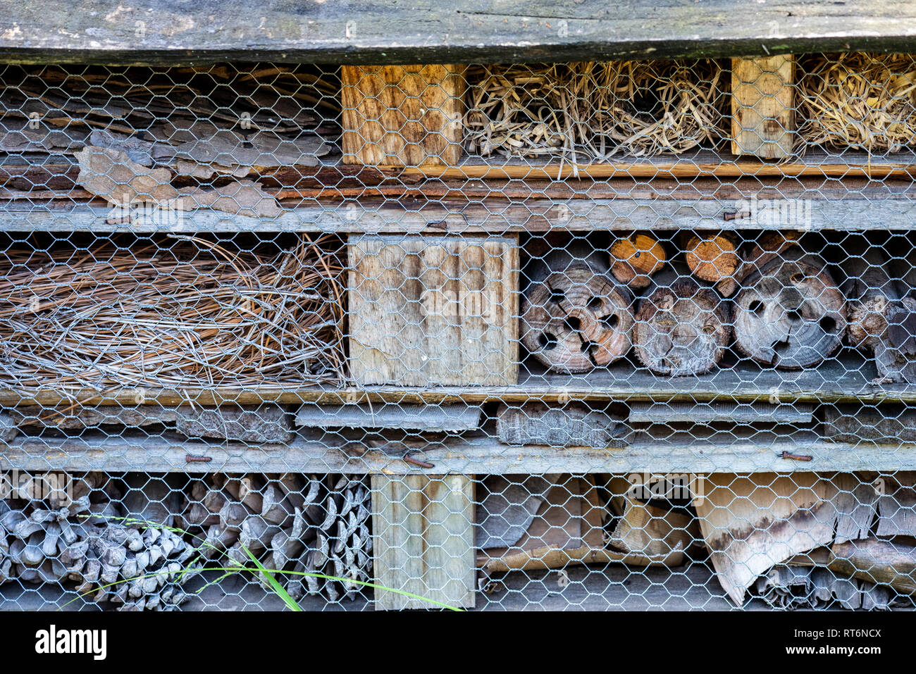 Insect habitat and shelter hi-res stock photography and images - Alamy