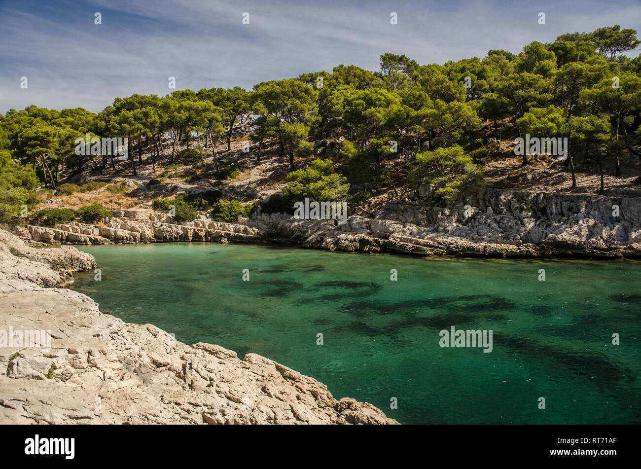 calanque port pin near cassis town provence france Stock Photo - Alamy