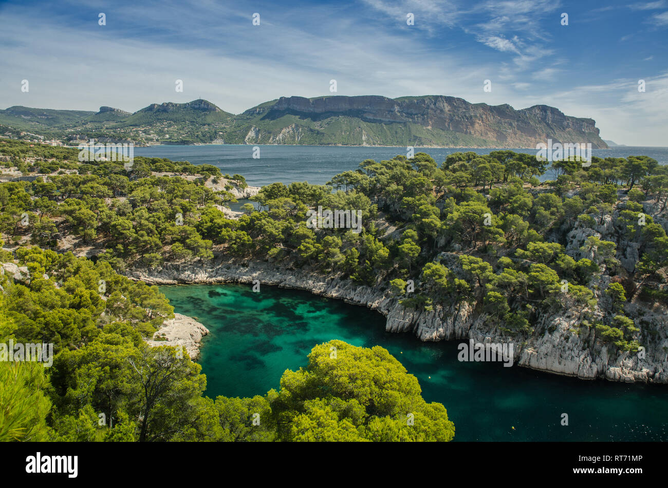 calanque port pin near cassis town provence france Stock Photo - Alamy