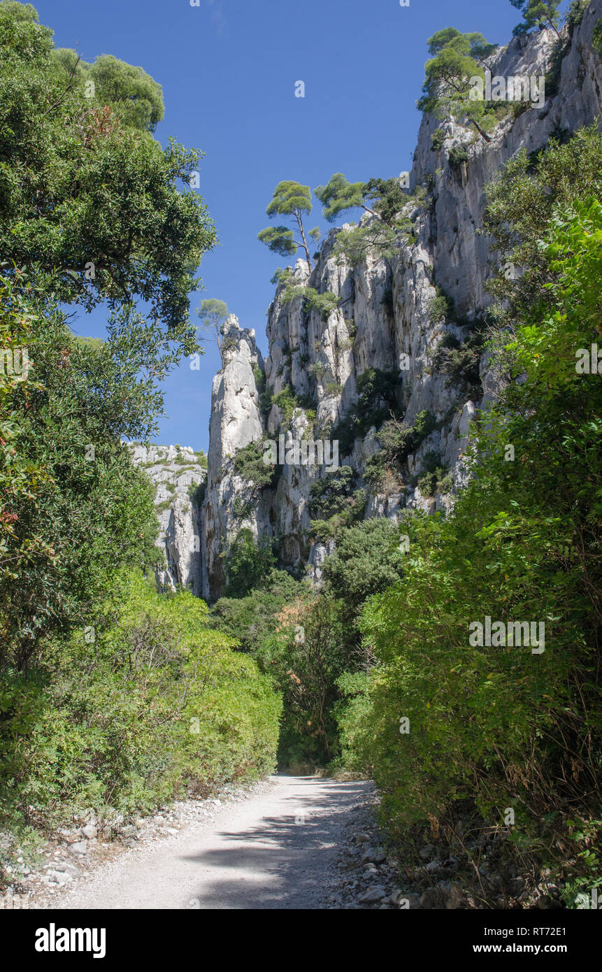 trail near calanque d'en vau near cassis town provence france Stock ...