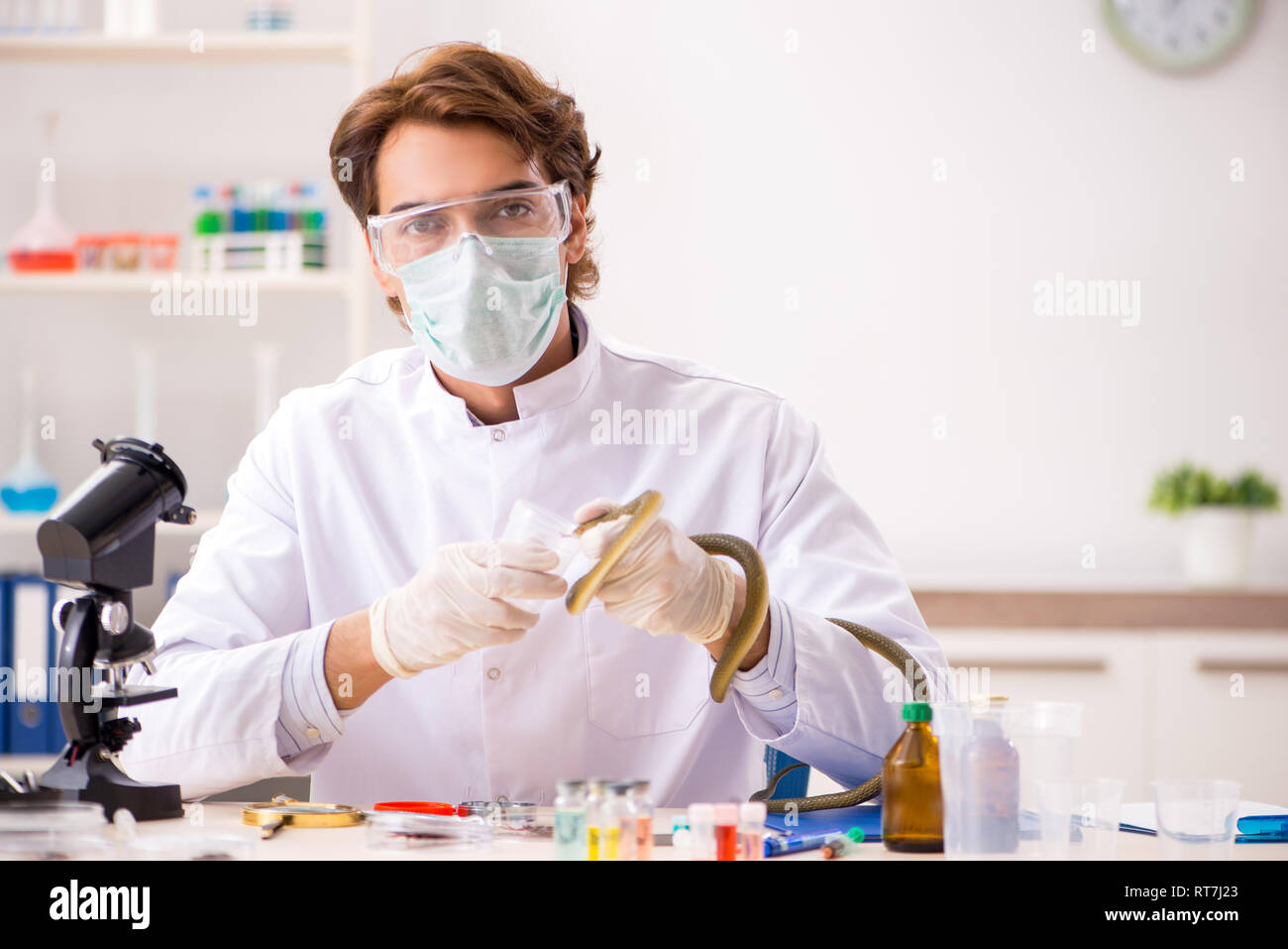 Male scientist extracting poison from snake for drug synthesis Stock ...