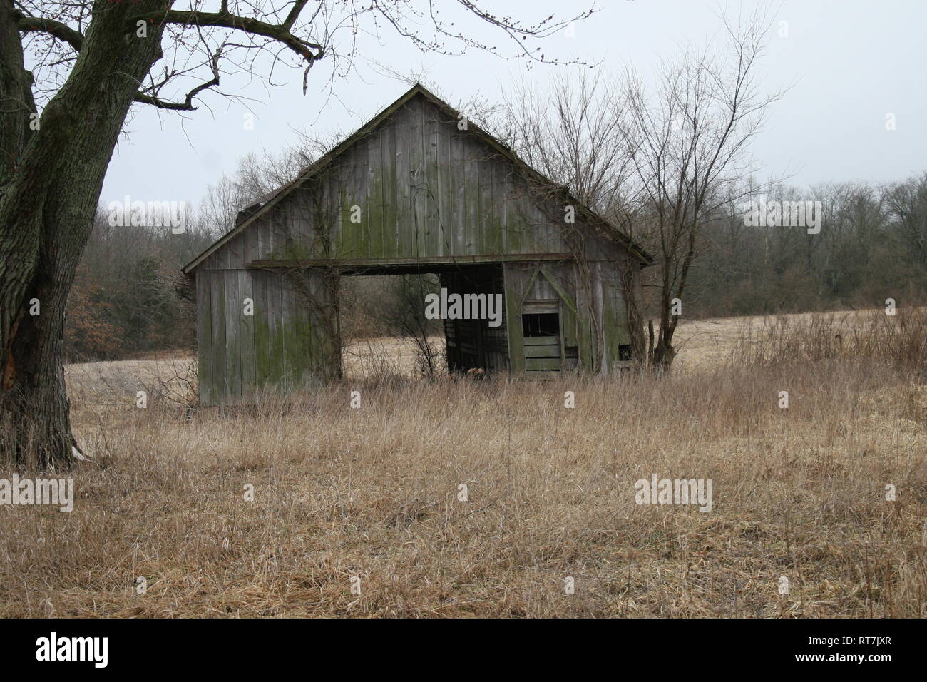 Fading barn hi-res stock photography and images - Alamy