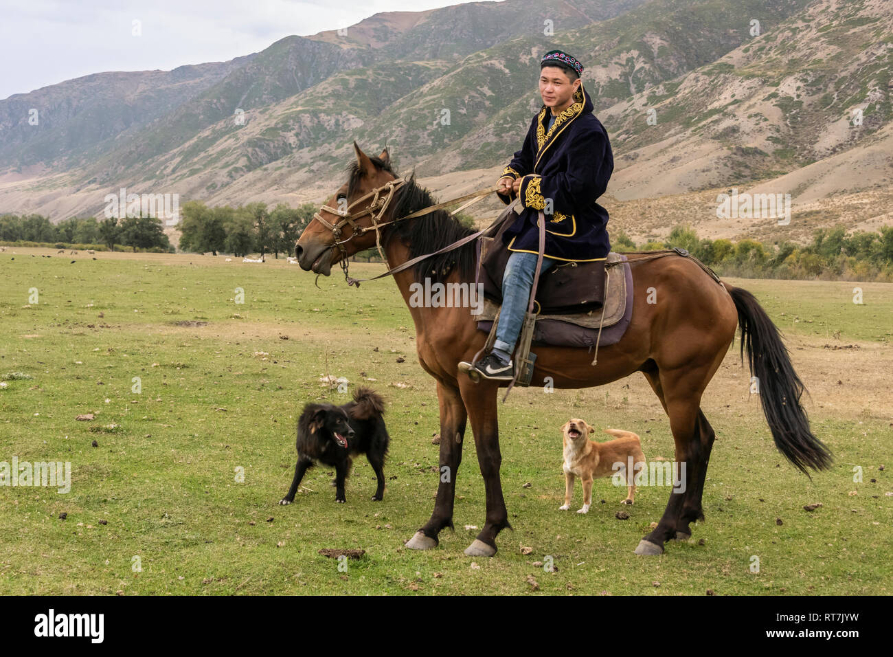 Kazakh young man on horse with two dogs ready to go for a run, Saty ...