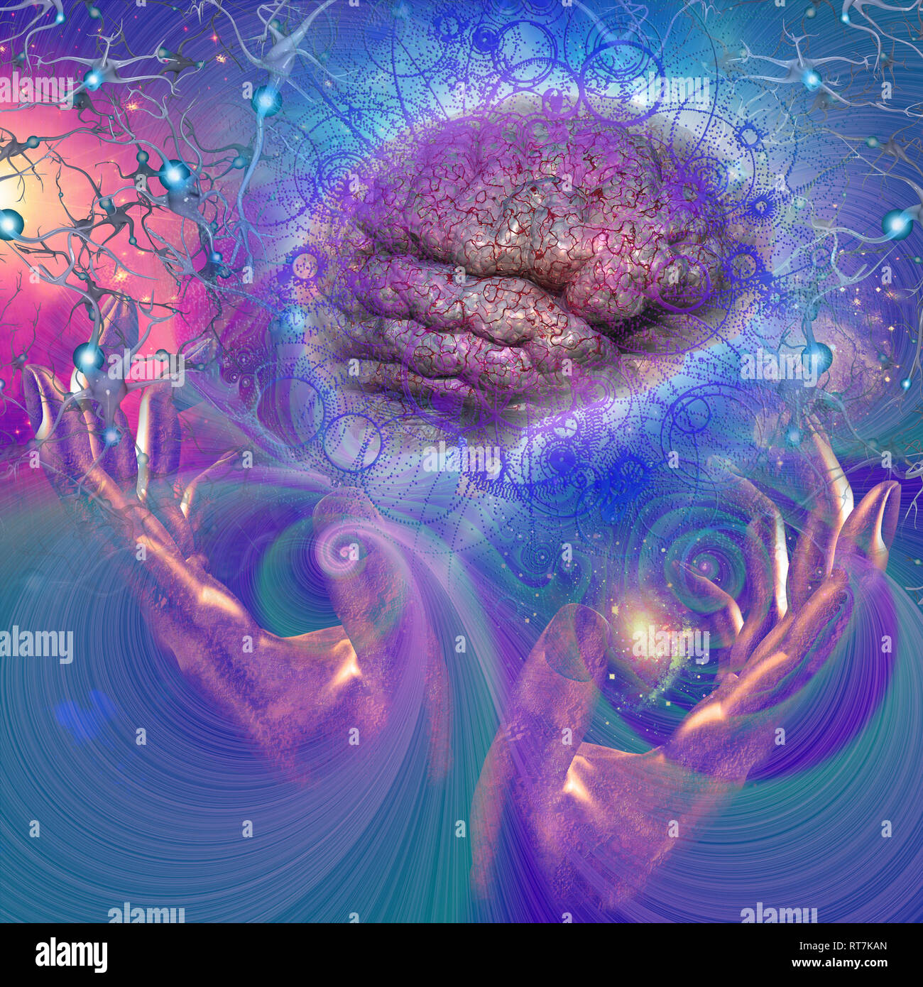 Human brain anatomy music hi-res stock photography and images - Alamy