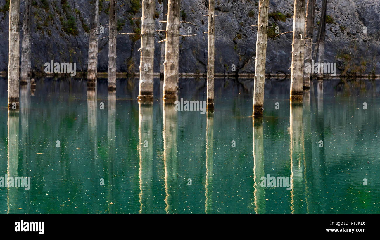 Drowned trees hi-res stock photography and images - Alamy