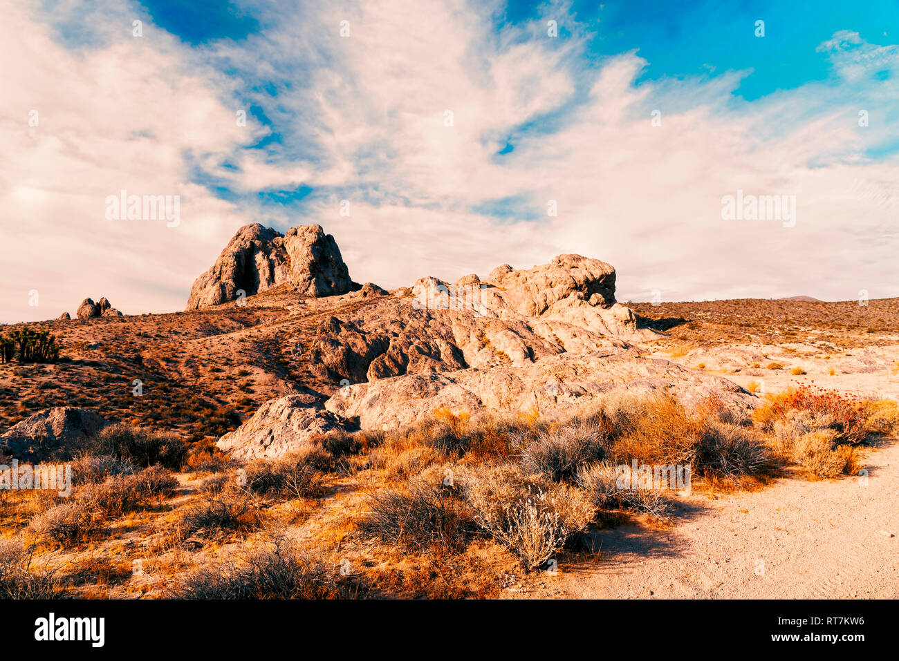 Autumn desert foliage gives way to rock formations under bright blue ...
