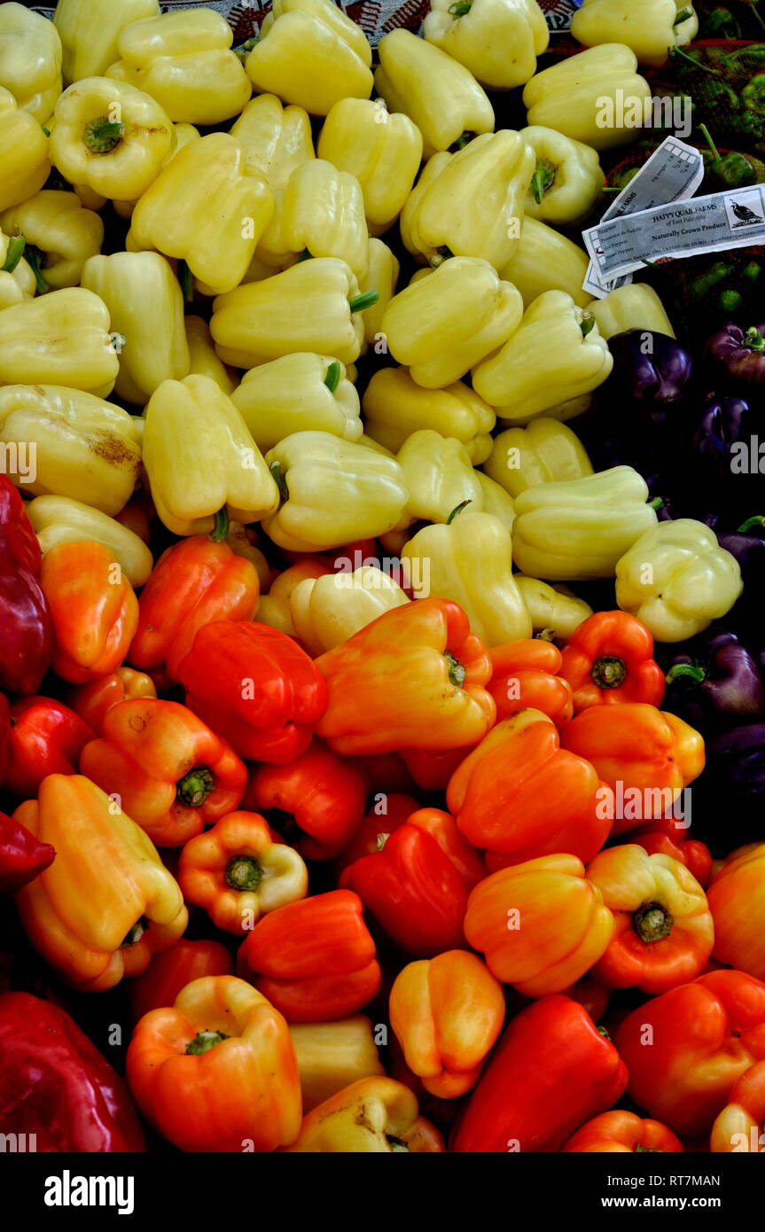 Assorted Bell Peppers Stock Photo - Alamy