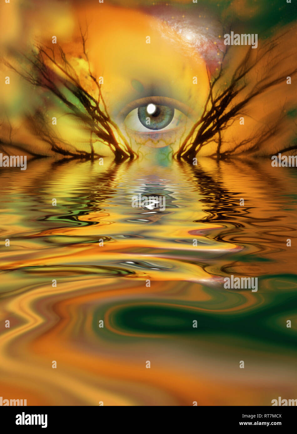 Eye and branches of tree Stock Photo - Alamy