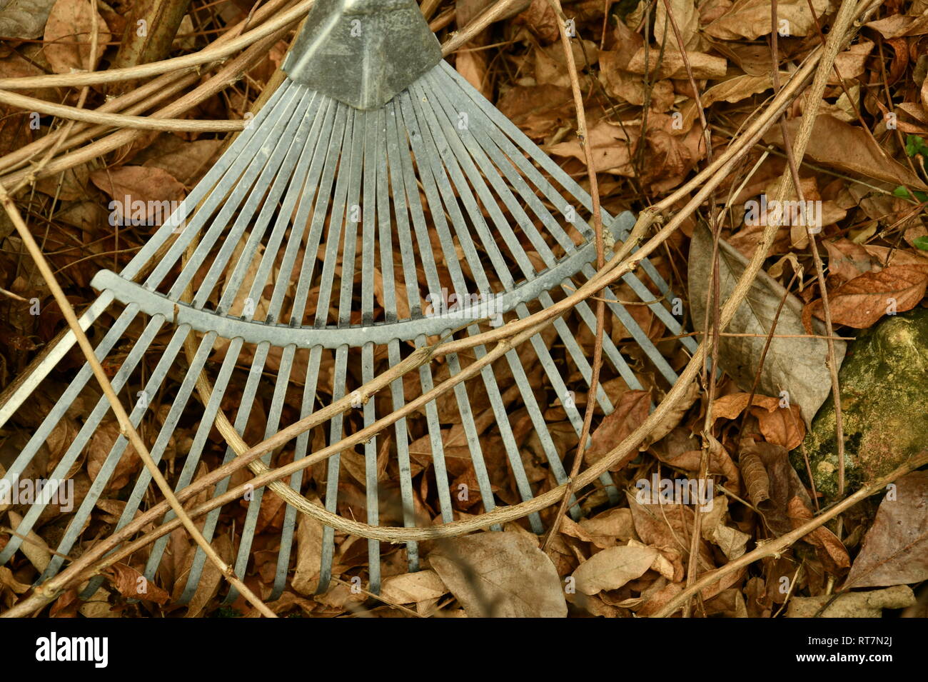 leave rake waiting to start its work in spring Stock Photo - Alamy