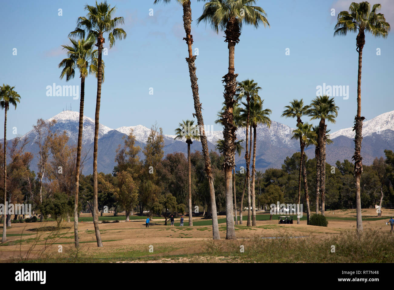 Snow in Phoenix while golfers play Stock Photo - Alamy