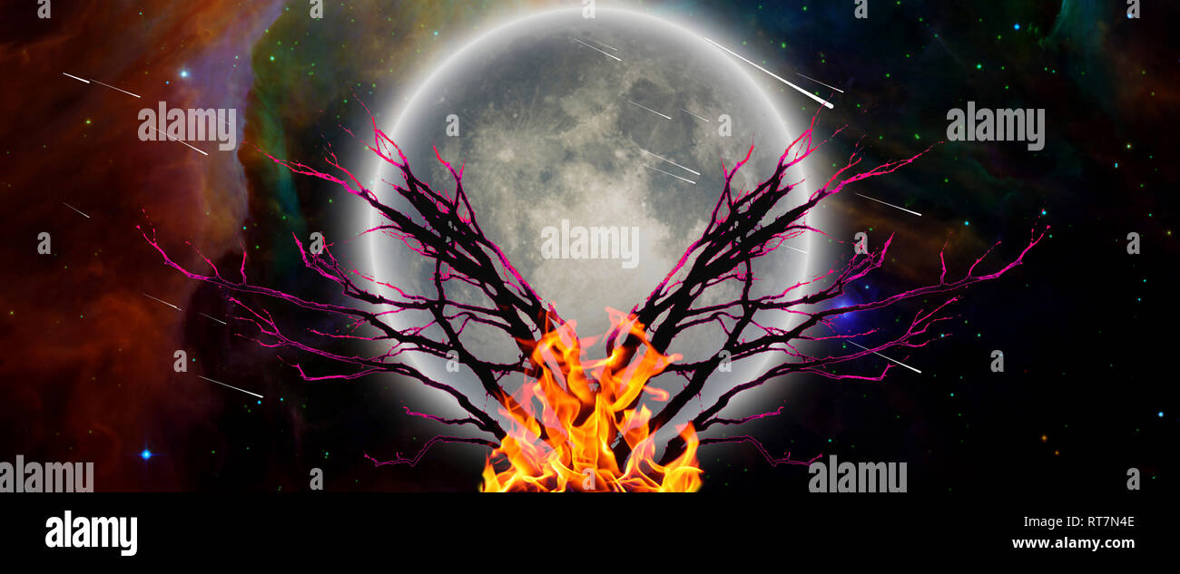 Mystic tree with bonfire in moonlight. Vivid universe Stock Photo - Alamy