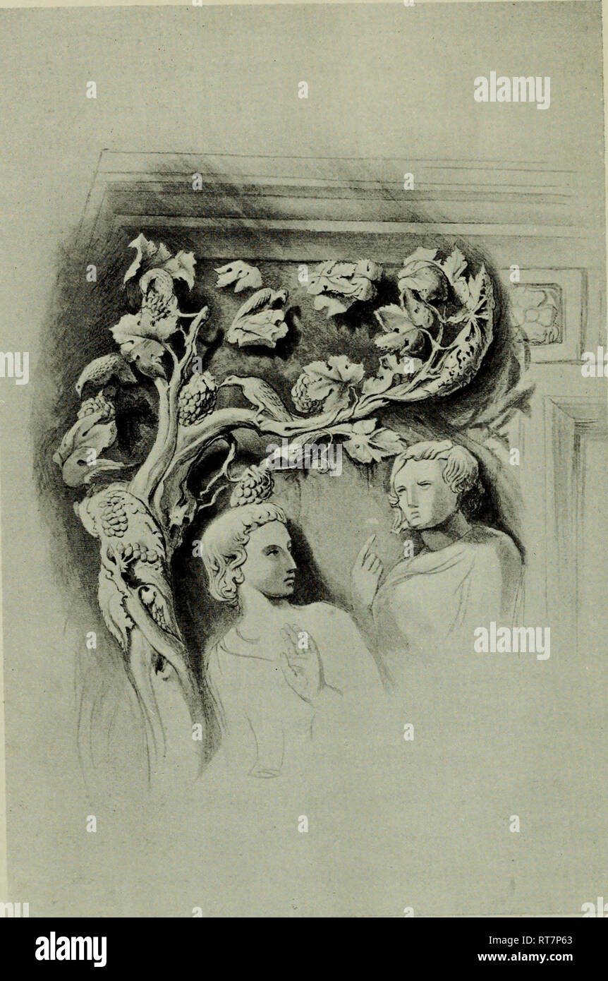 Historia trees hi-res stock photography and images - Alamy