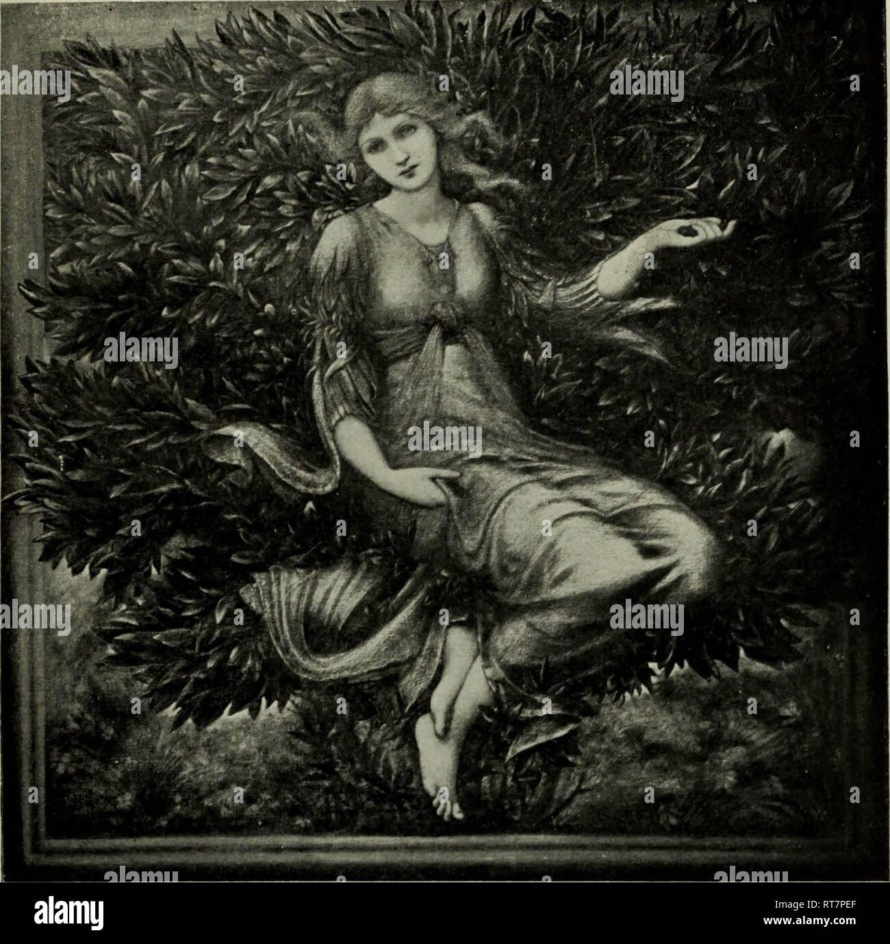 "Trees in nature, myth and art;" (1907 Stock Photo - Alamy