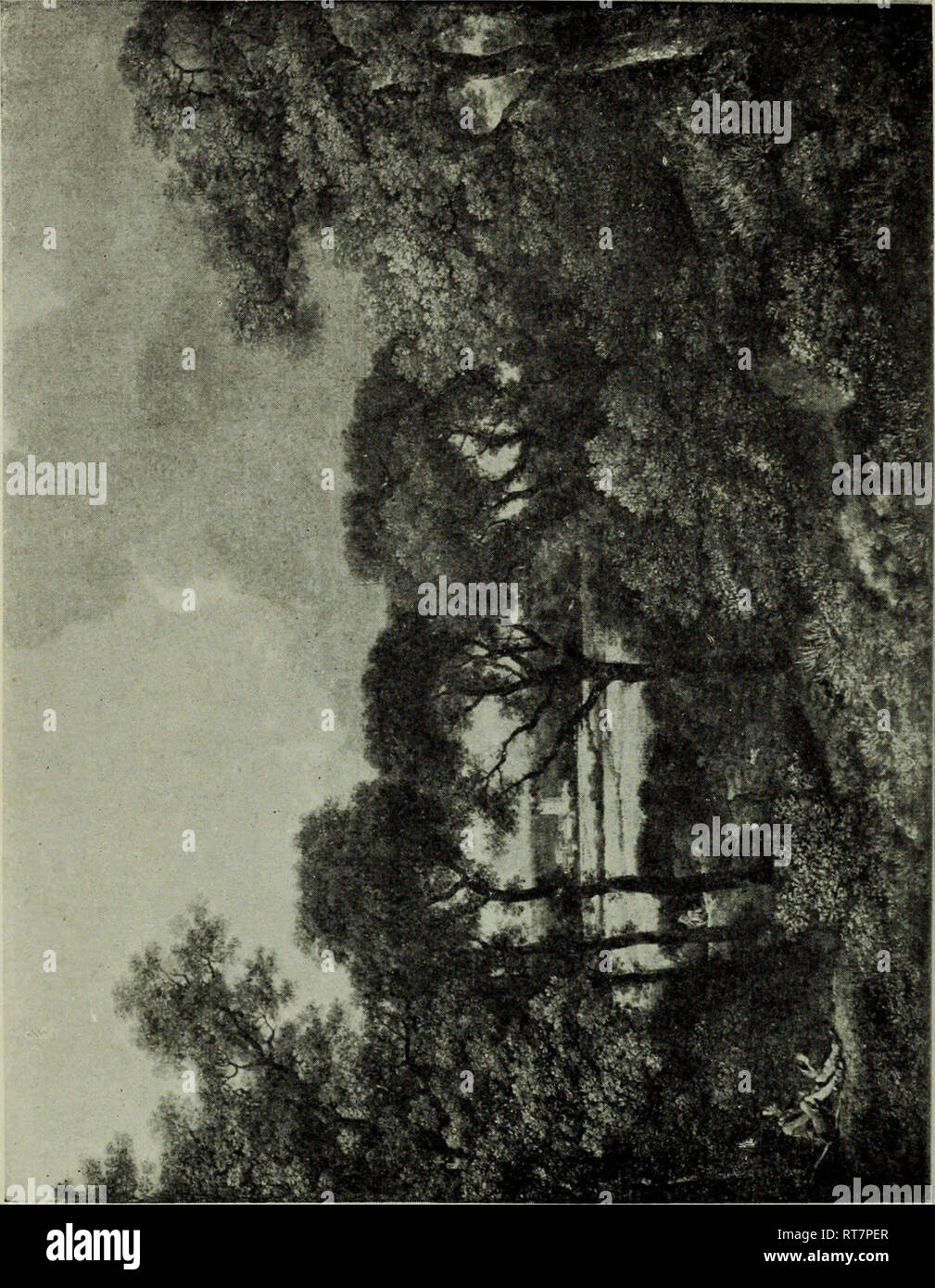 "Trees in nature, myth and art;" (1907 Stock Photo - Alamy