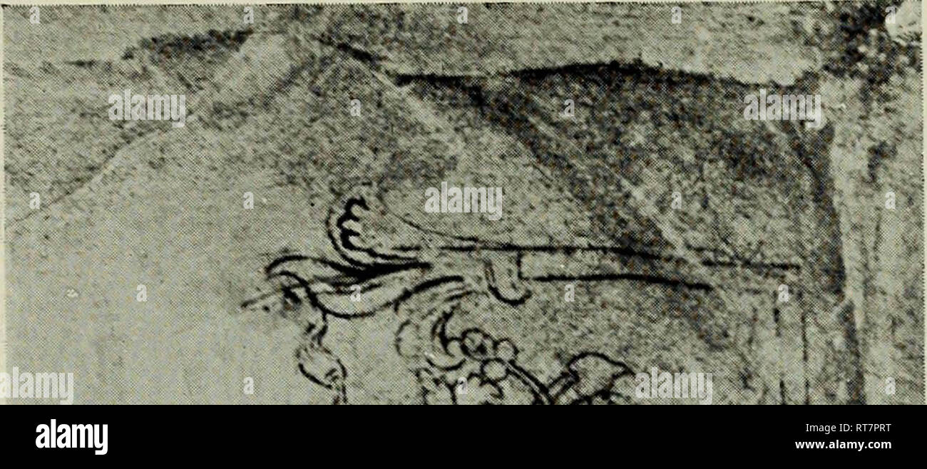 "Trees in nature, myth and art;" (1907 Stock Photo - Alamy