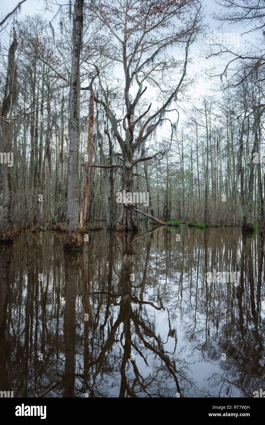 Louisiana bayou people hi-res stock photography and images - Alamy