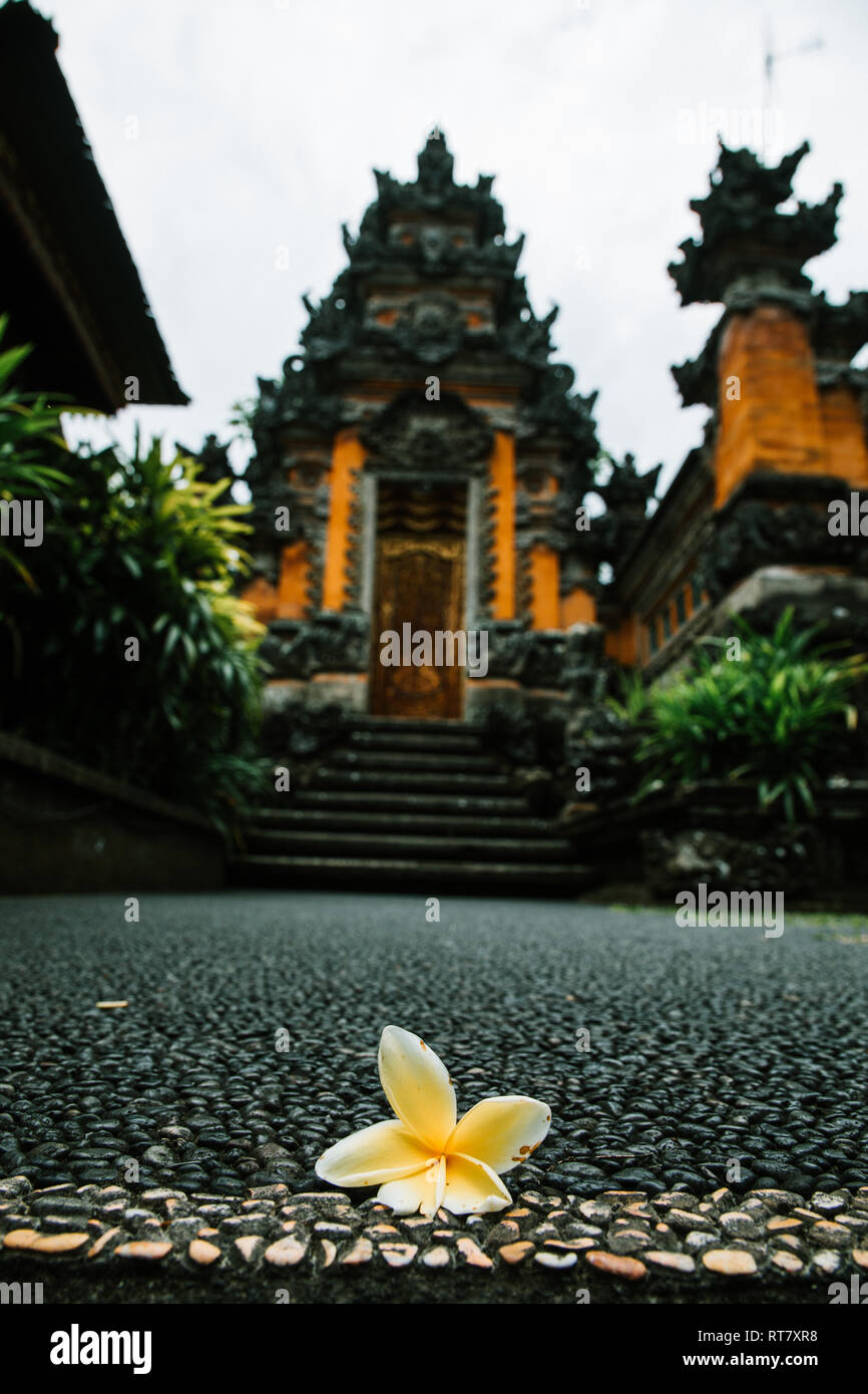 Lotus flower with temple Stock Photo - Alamy