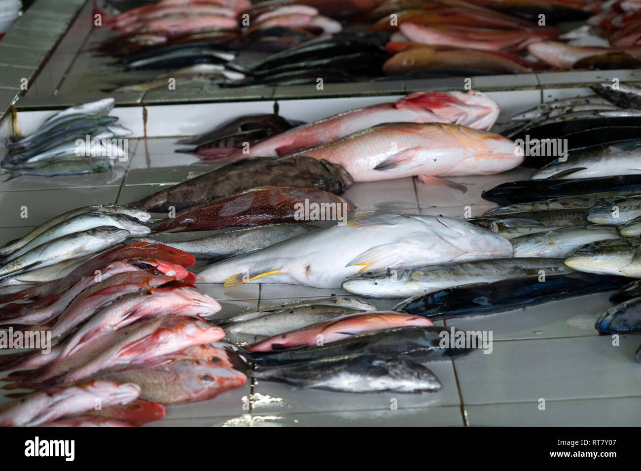 Male Maldives People buying at island capital fish market Stock Photo ...