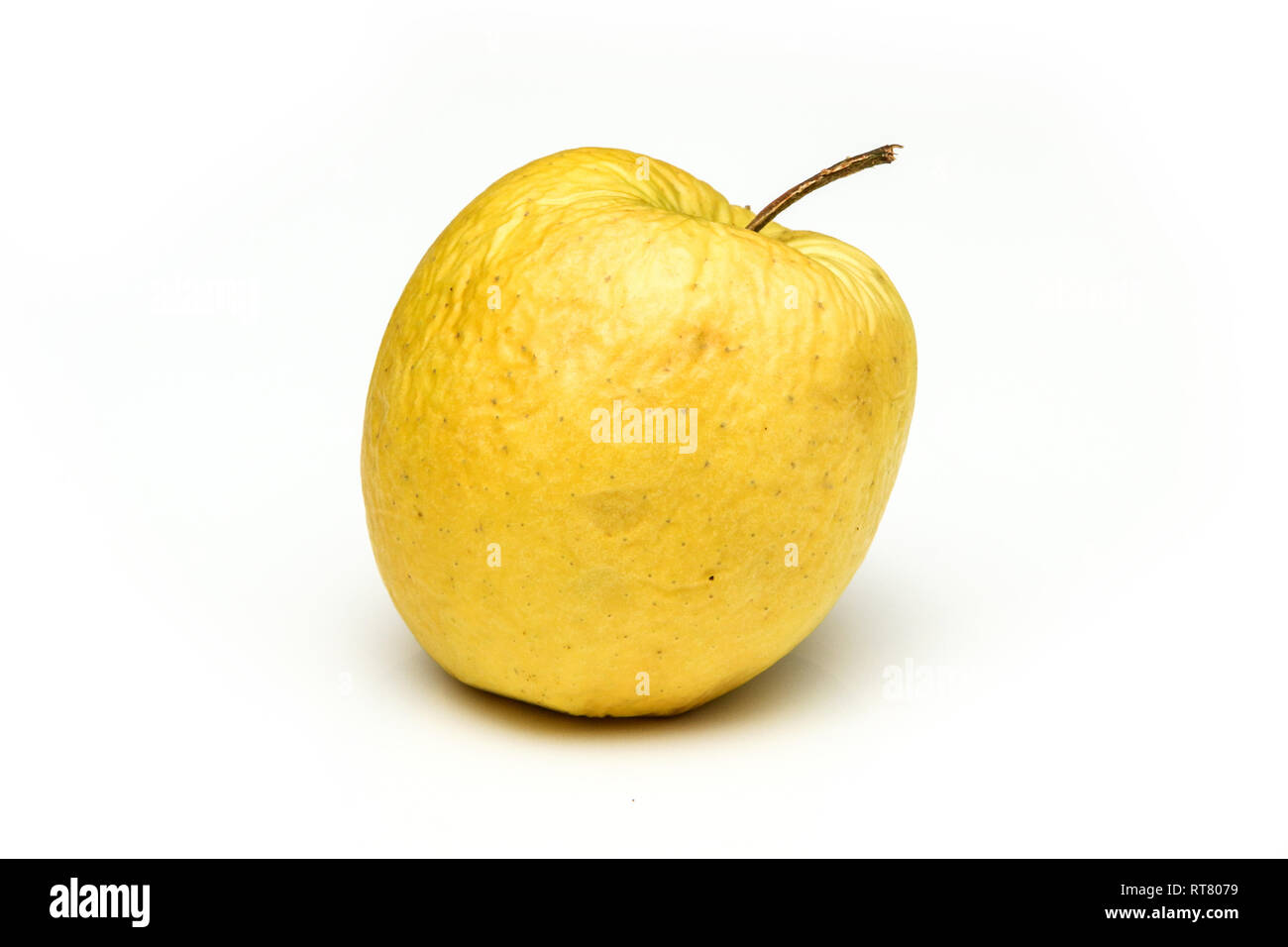 A picture of an ordinary green Golden Delicious apple, without ...
