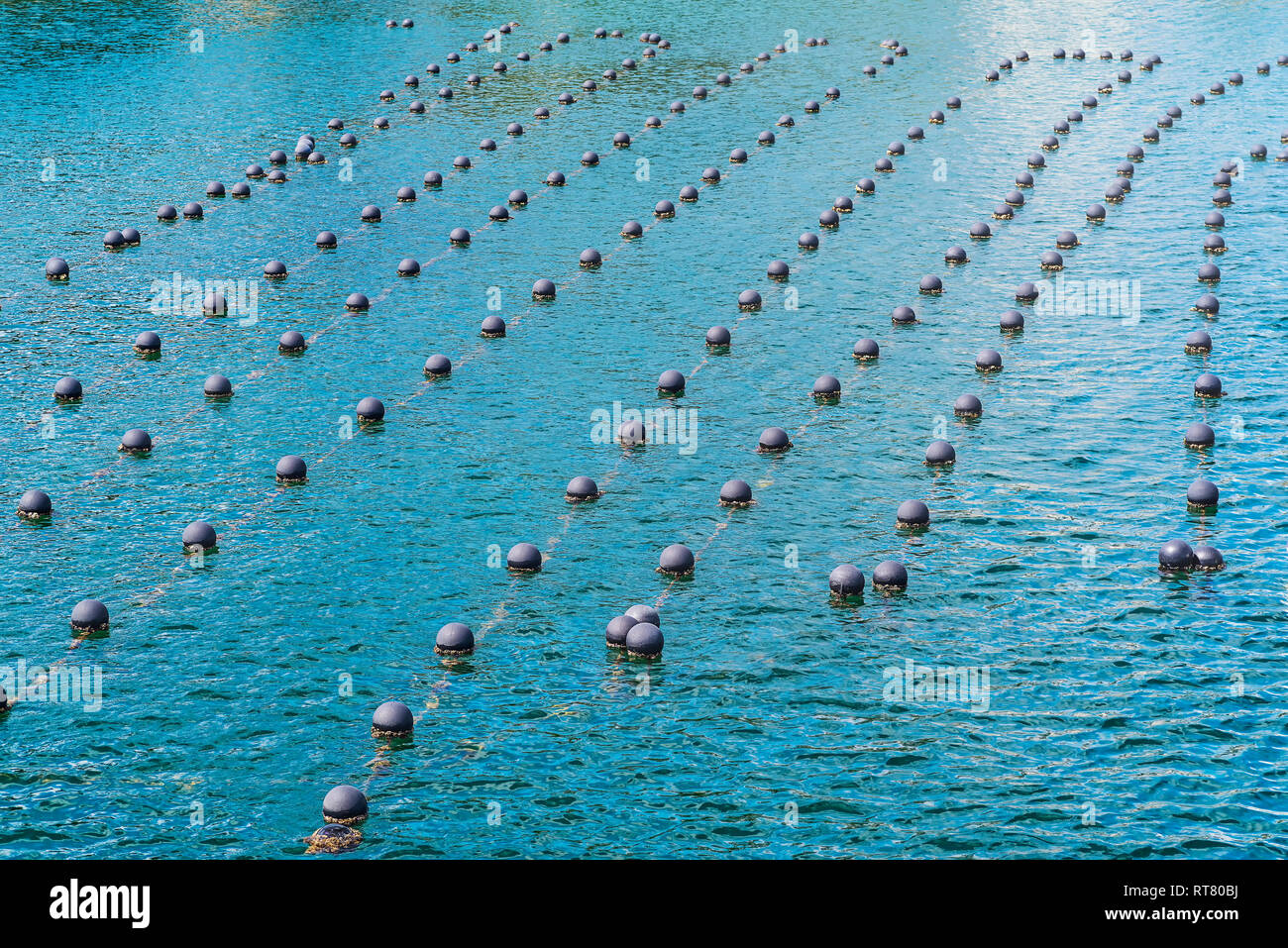 Pearl Industry High Resolution Stock Photography and Images - Alamy