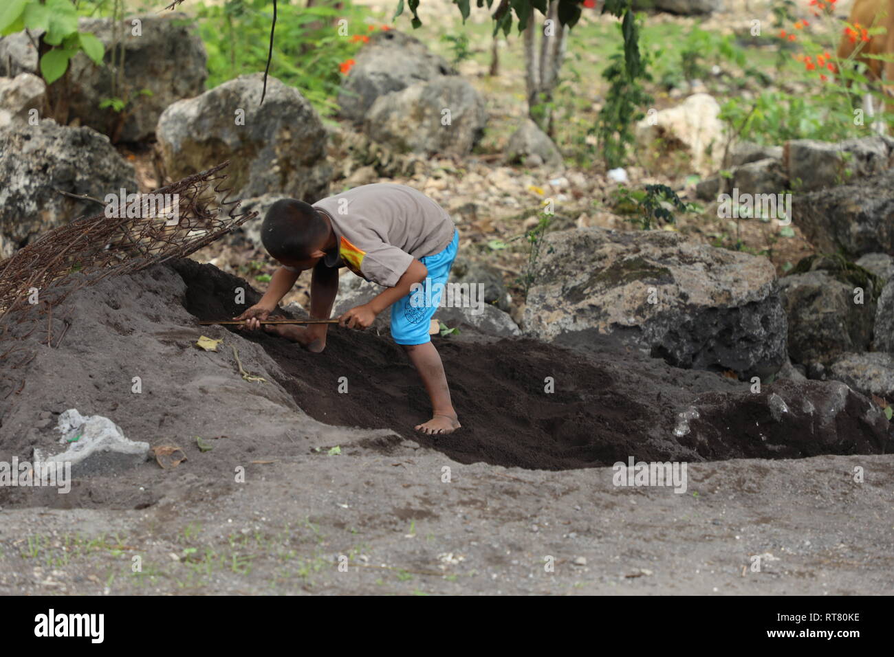Digging a hole, boy hi-res stock photography and images - Alamy
