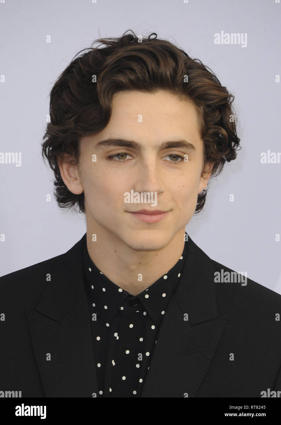 25th Screen Actors Guild (SAG) Awards – Arrivals Featuring: Timothee ...