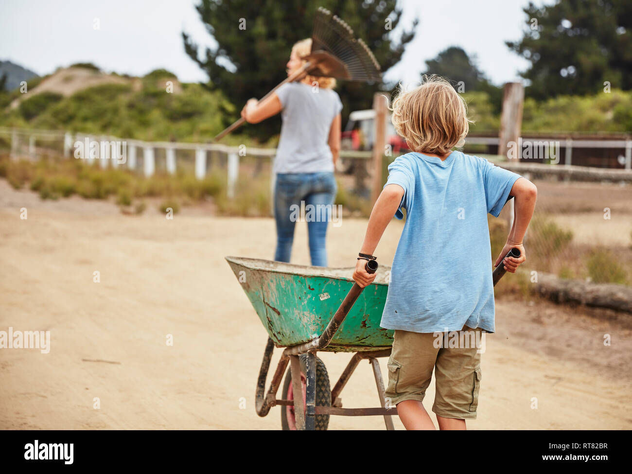 Pushing wheelbarrow hi-res stock photography and images - Alamy