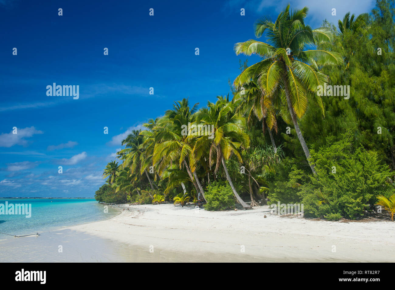 Cook Islands, Rarotonga, Aitutaki lagoon, white sand beach and palm ...