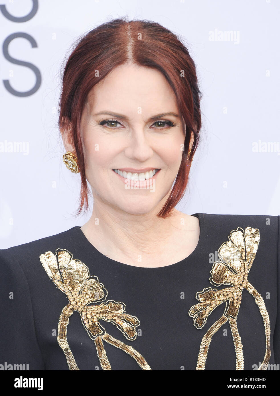 Megan mullally sag hi-res stock photography and images - Alamy