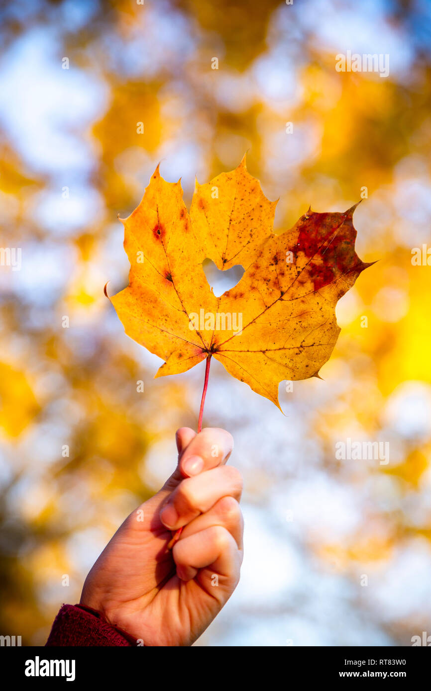 Hand hole hi-res stock photography and images - Alamy