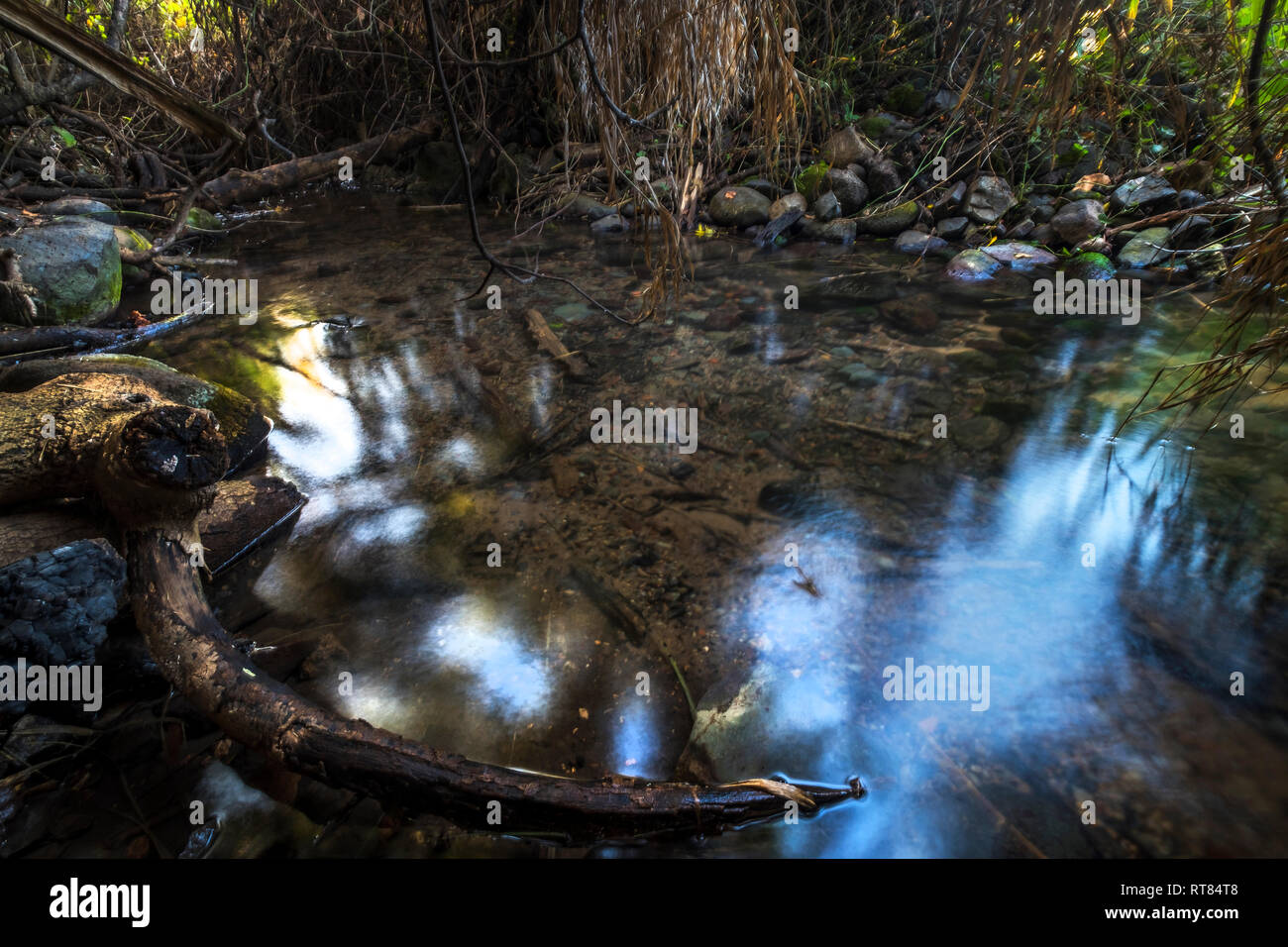 Dan river nature reserve, israel Stock Photo - Alamy