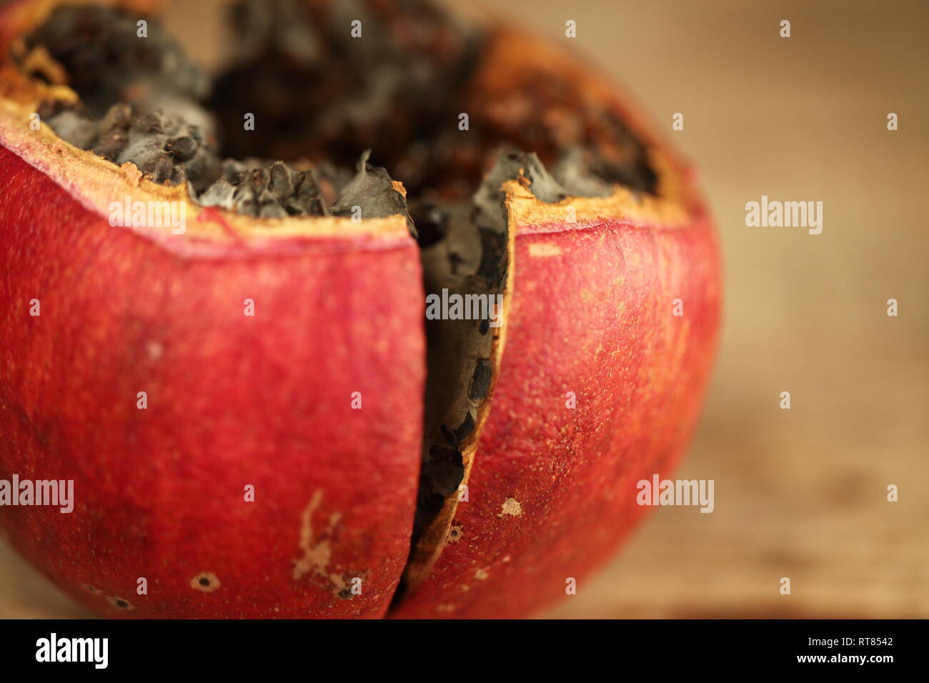 Moldy pomegranate hi-res stock photography and images - Alamy