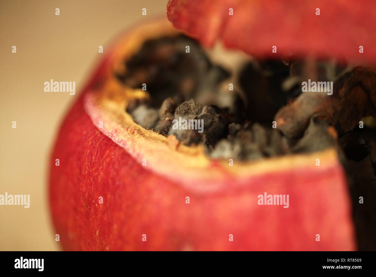 Moldy pomegranate hi-res stock photography and images - Alamy