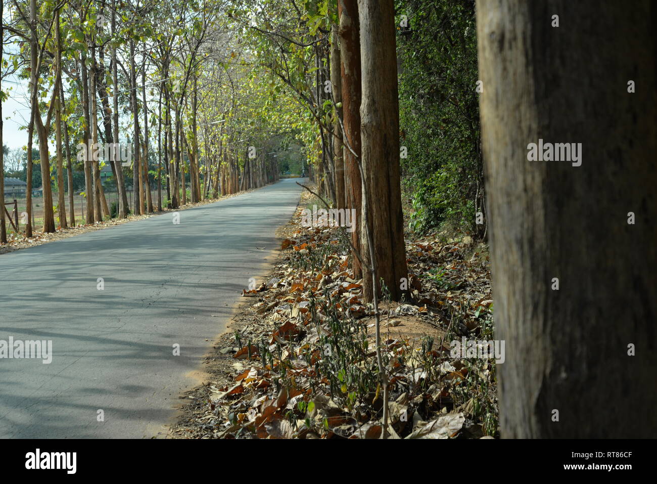 Provincial road hi-res stock photography and images - Alamy