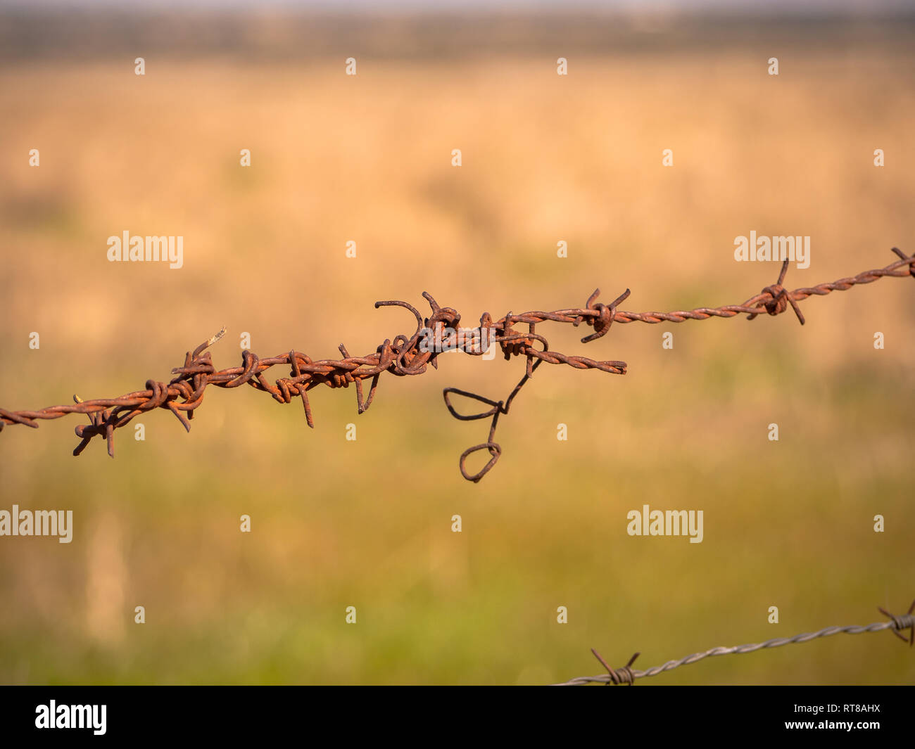 Abstract background. A piece of rusty barbed wire Stock Photo - Alamy