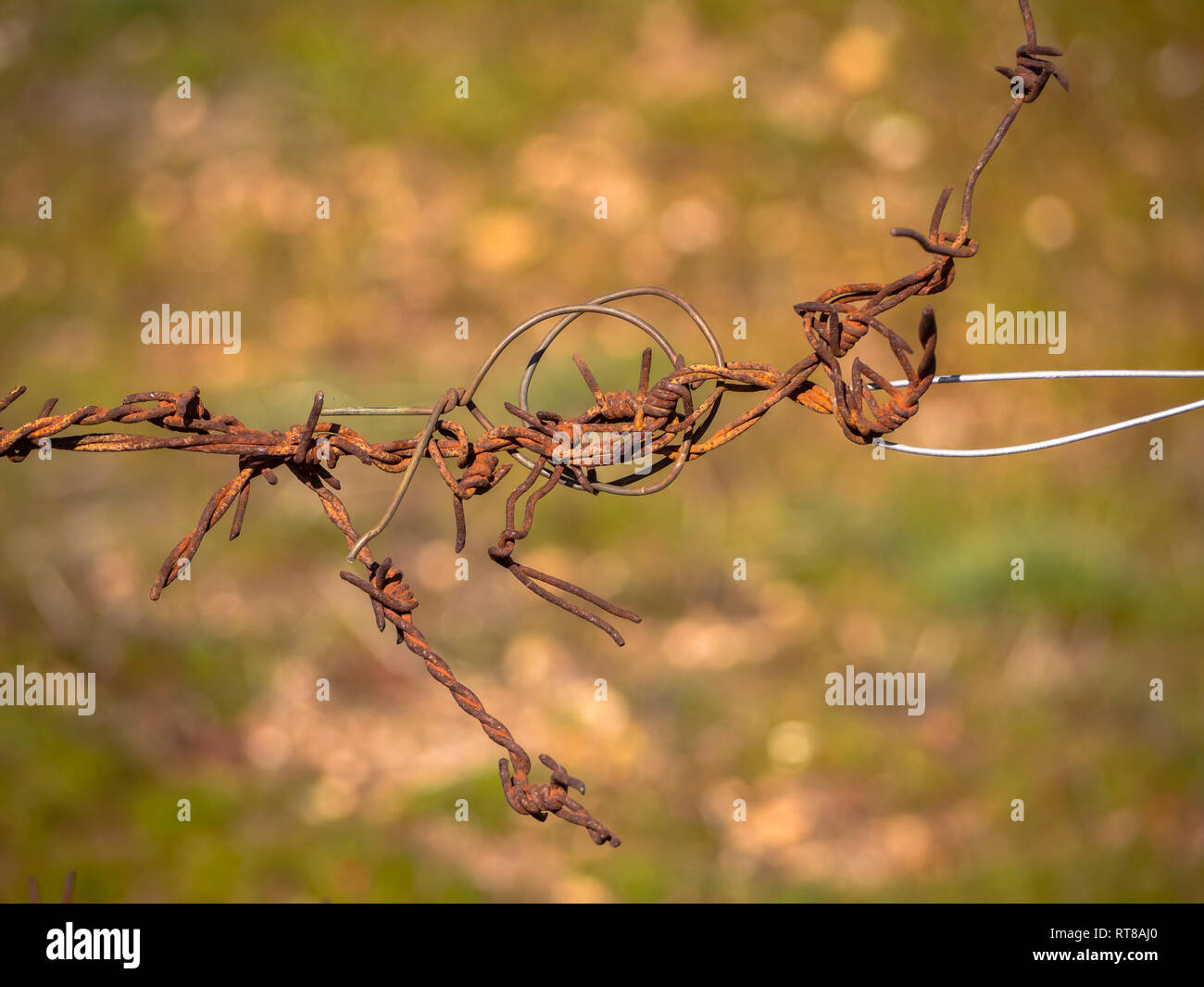 Abstract background. A piece of rusty barbed wire Stock Photo - Alamy