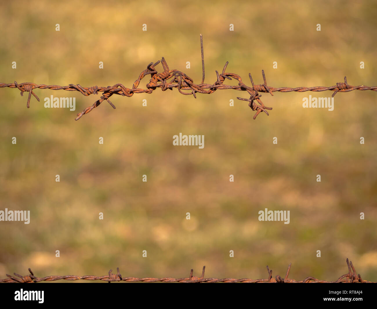 Barbed wire background hi-res stock photography and images - Alamy