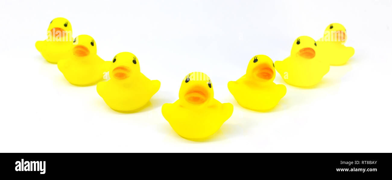 Seven yellow rubber toy ducks isolated on white background Stock Photo ...