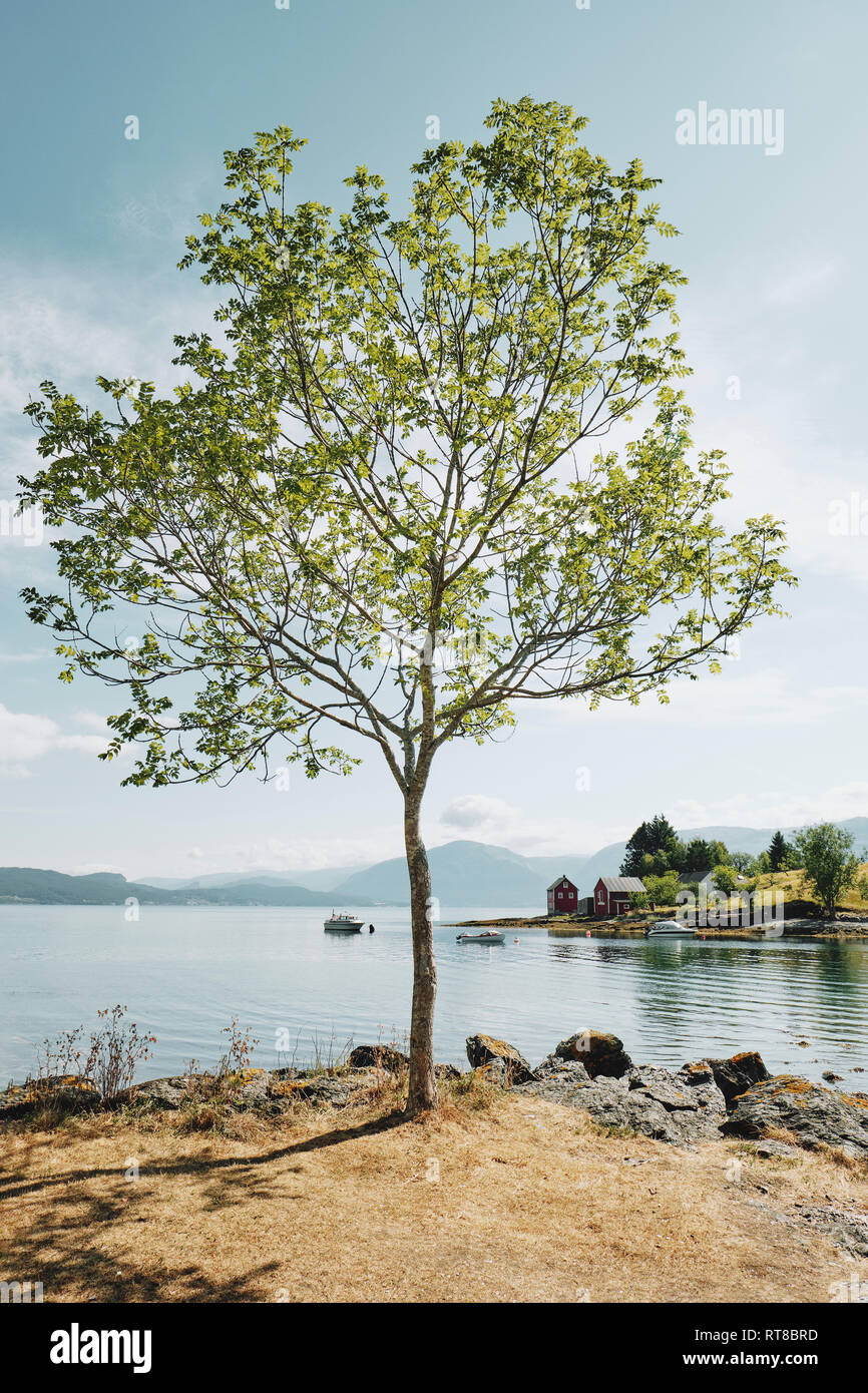 The small island of Omaholmen on a beautiful summers day in ...