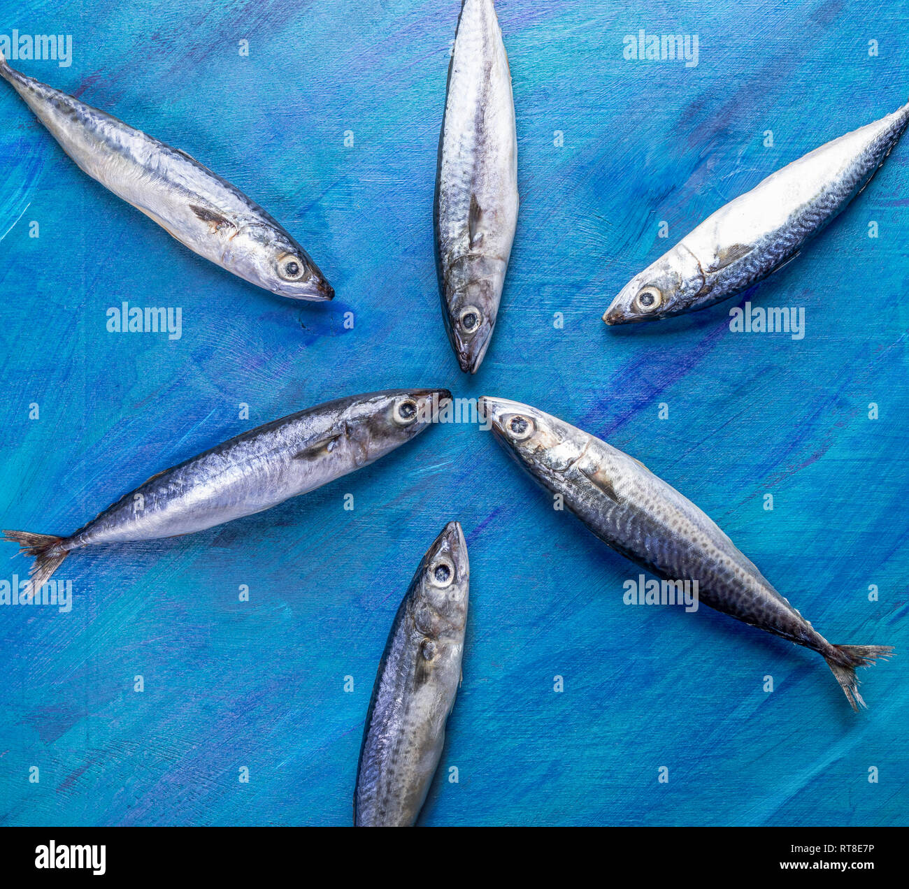 Pattern of mackerel fishes, which laid out with heads toward each other ...